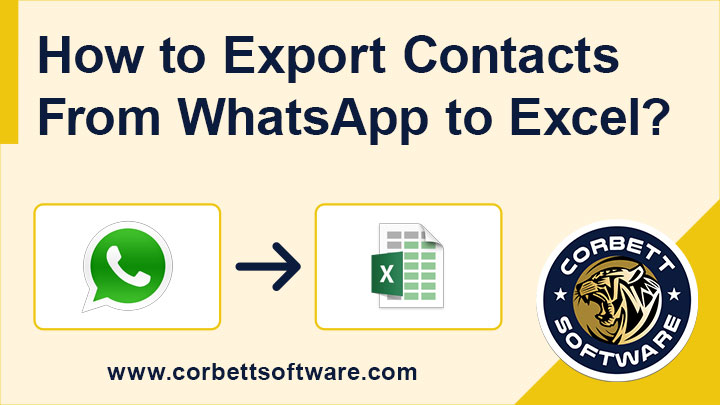 Expert Guide to Export Contacts From WhatsApp To Excel